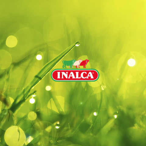 Inalca: una nuova identità visiva | Barabino & Partners